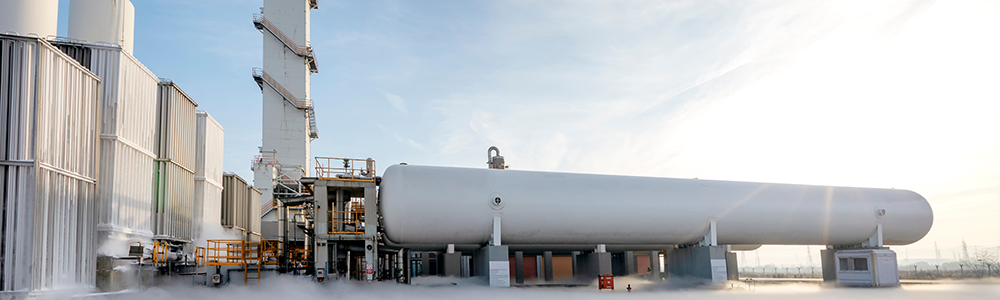 Optimize Your Entire Natural Gas Supply Chain | Trellis Energy